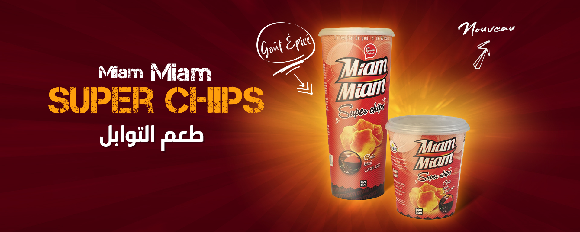 CHIPALGI – Entreprise de production de chips